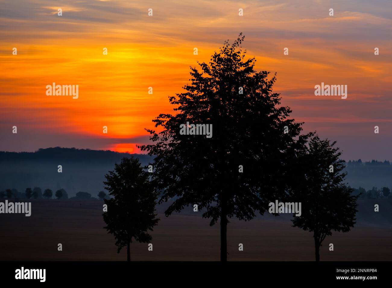 Dawn rising sun first rays of light Stock Photo - Alamy