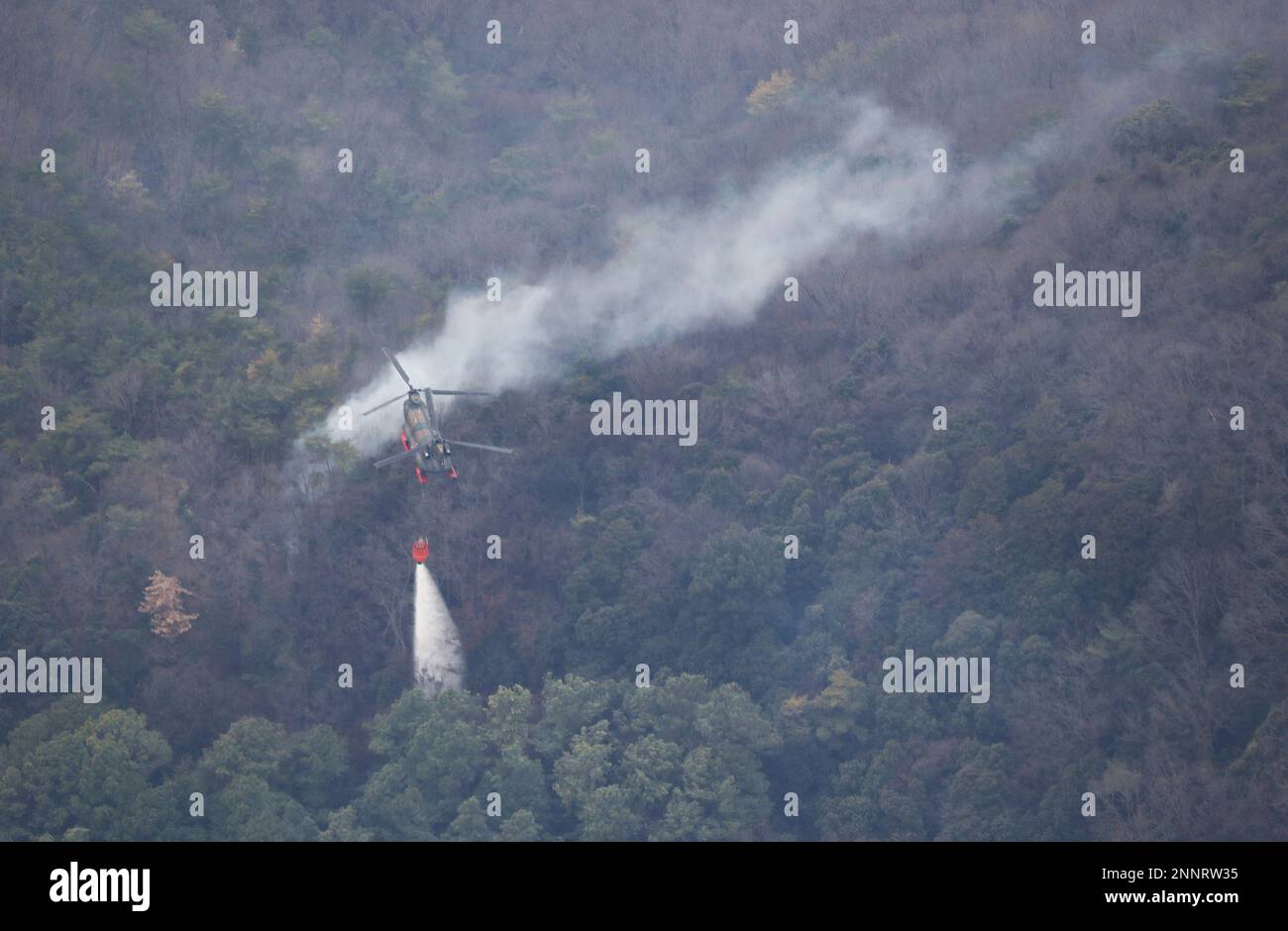 An aerial photo shows a forest fire that continues to spread near a ...