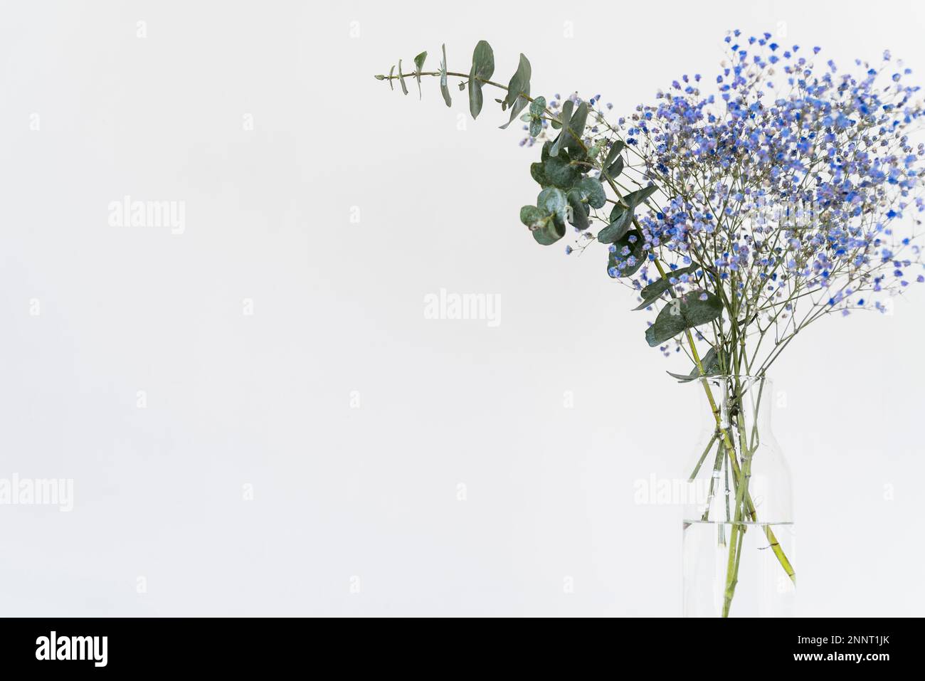 bunch fresh twigs plants vase. High resolution photo Stock Photo - Alamy