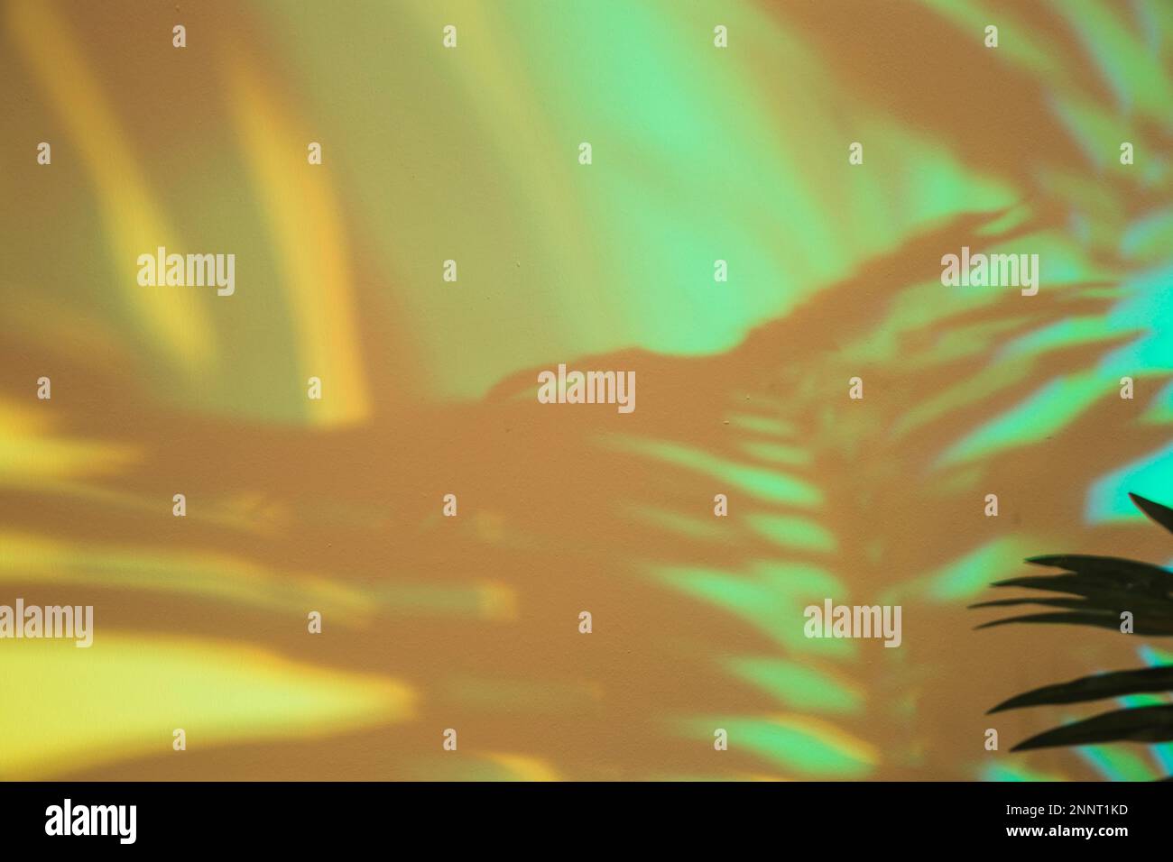 Green space high line hi-res stock photography and images - Alamy