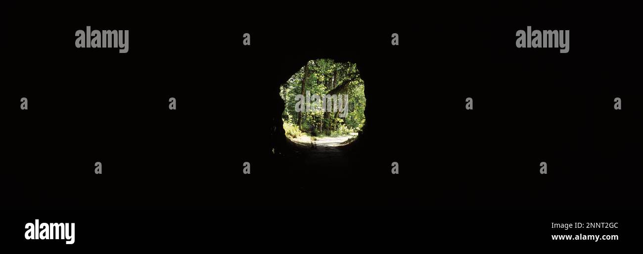 Tree view from pitch black cave, Bellingham, Whatcom County, Washington ...