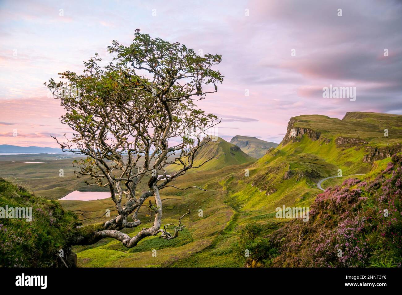 View of rocky landscape Quiraing at sunrise, Trotternish Ridge ...