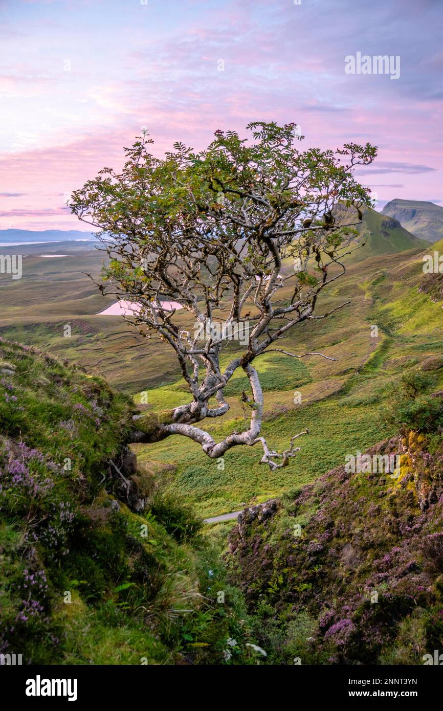 View of rocky landscape Quiraing at sunrise, Trotternish Ridge ...