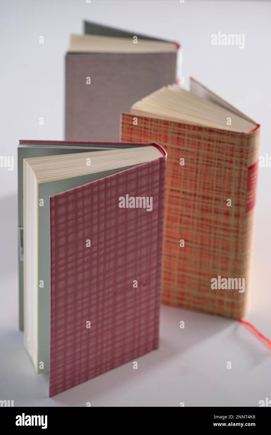 Three Books on a Grey Background, Still Life Stock Photo - Alamy