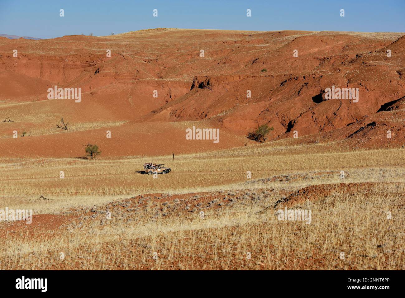 Off-road vehicle with tourists in the grassy landscape of Gondwana ...