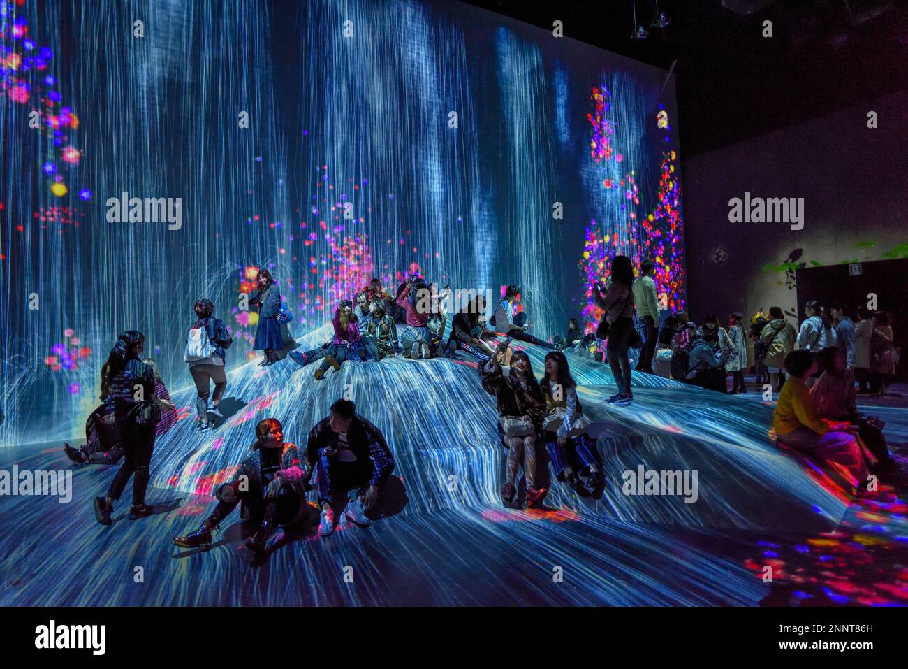 Digital Art Museum, Epson Team Lab Borderless, Odaiba Island, Tokyo ...