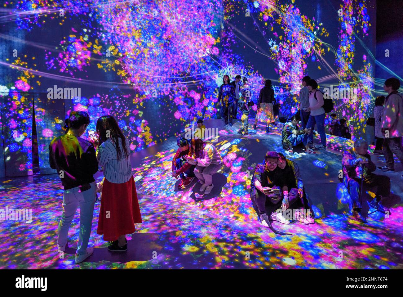 Digital Art Museum, Epson Team Lab Borderless, Odaiba Island, Tokyo ...