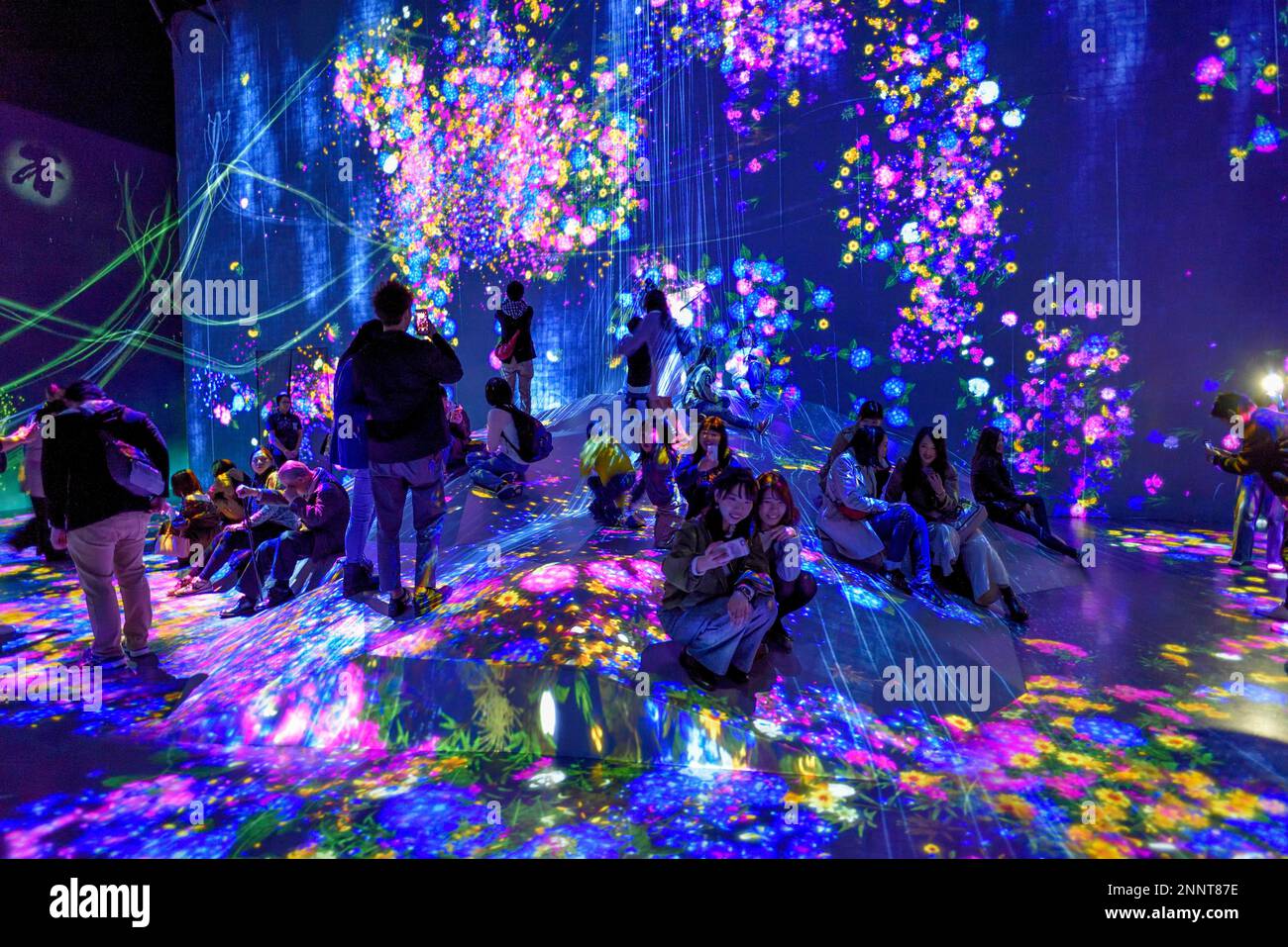 Digital Art Museum, Epson Team Lab Borderless, Odaiba Island, Tokyo ...