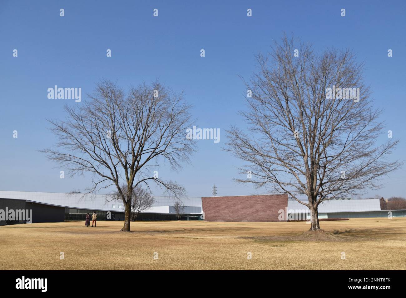 A picture taken on Feb.13, 2021 shows Gunma Museum of Art, Tatebayashi ...