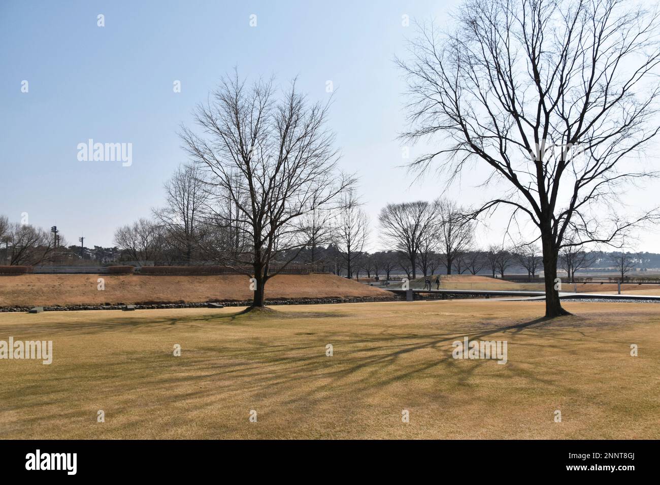 A picture taken on Feb.13, 2021 shows Gunma Museum of Art, Tatebayashi ...