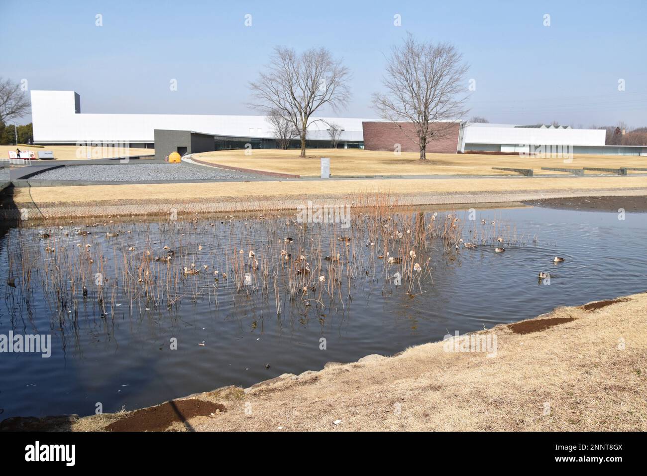 A picture taken on Feb.13, 2021 shows Gunma Museum of Art, Tatebayashi ...
