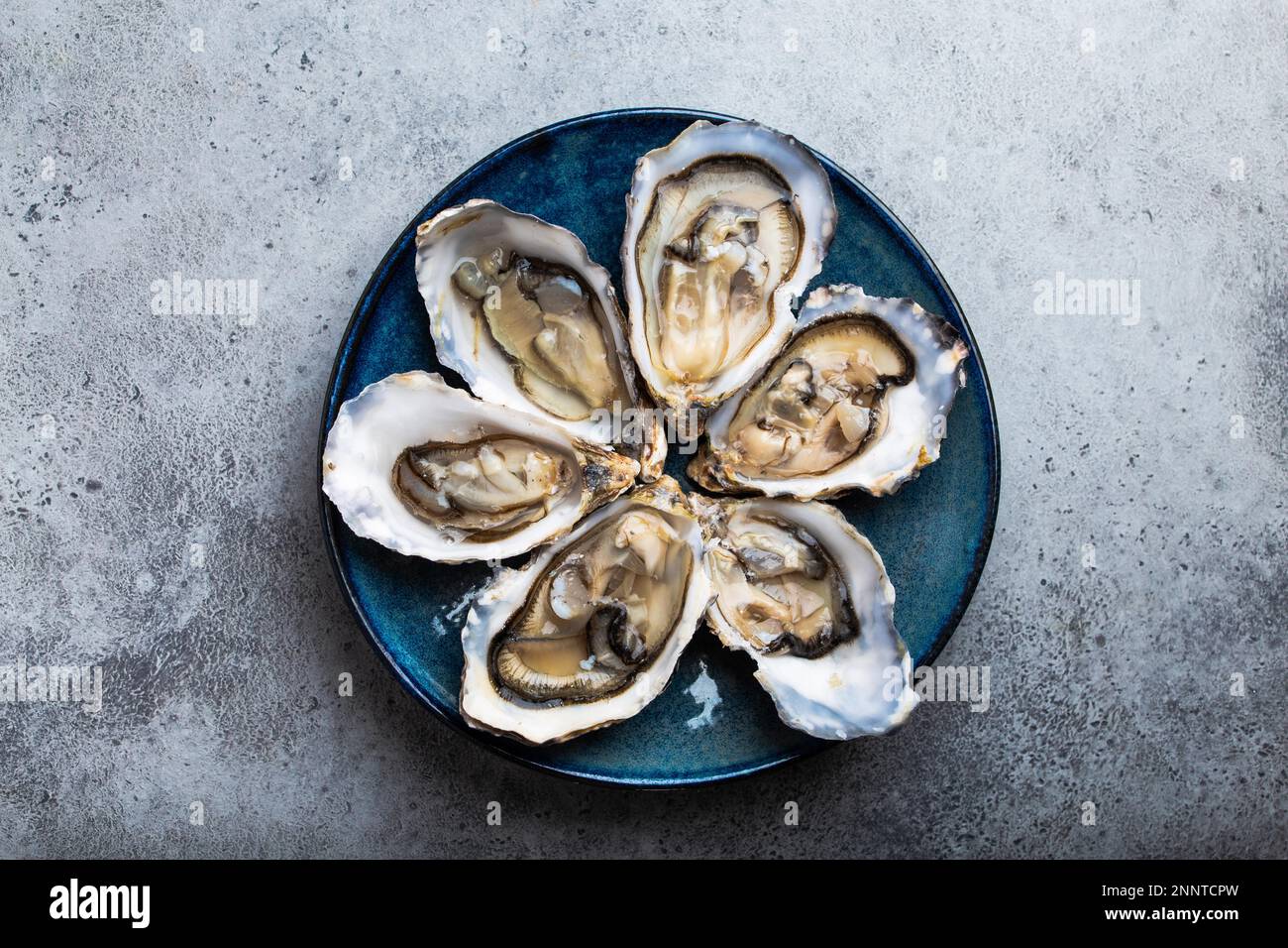Set of half dozen fresh opened oysters in shell served on rustic blue ...