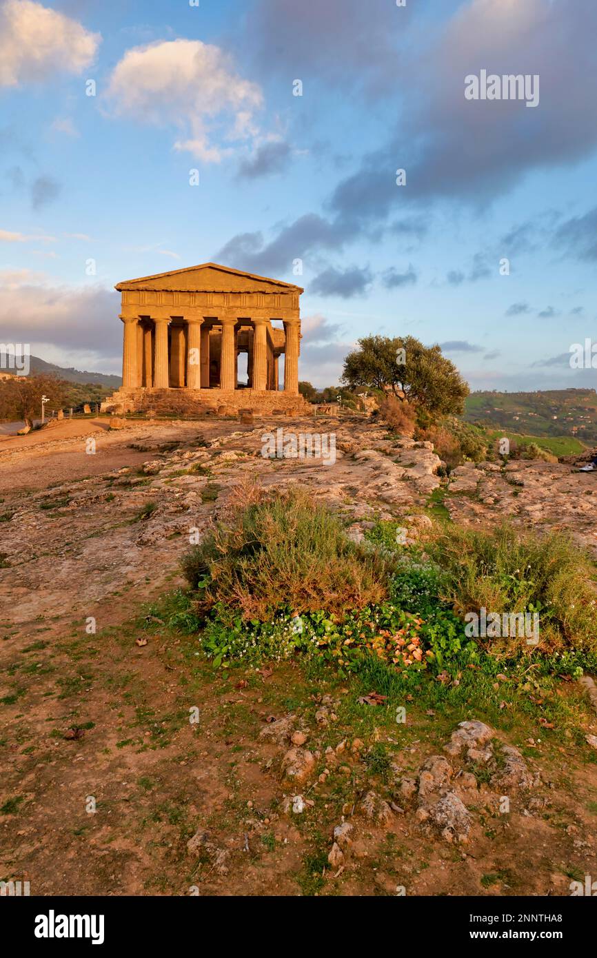 Temple of Concordia (Tempio della Concordia). Valle dei Templi (Valley ...