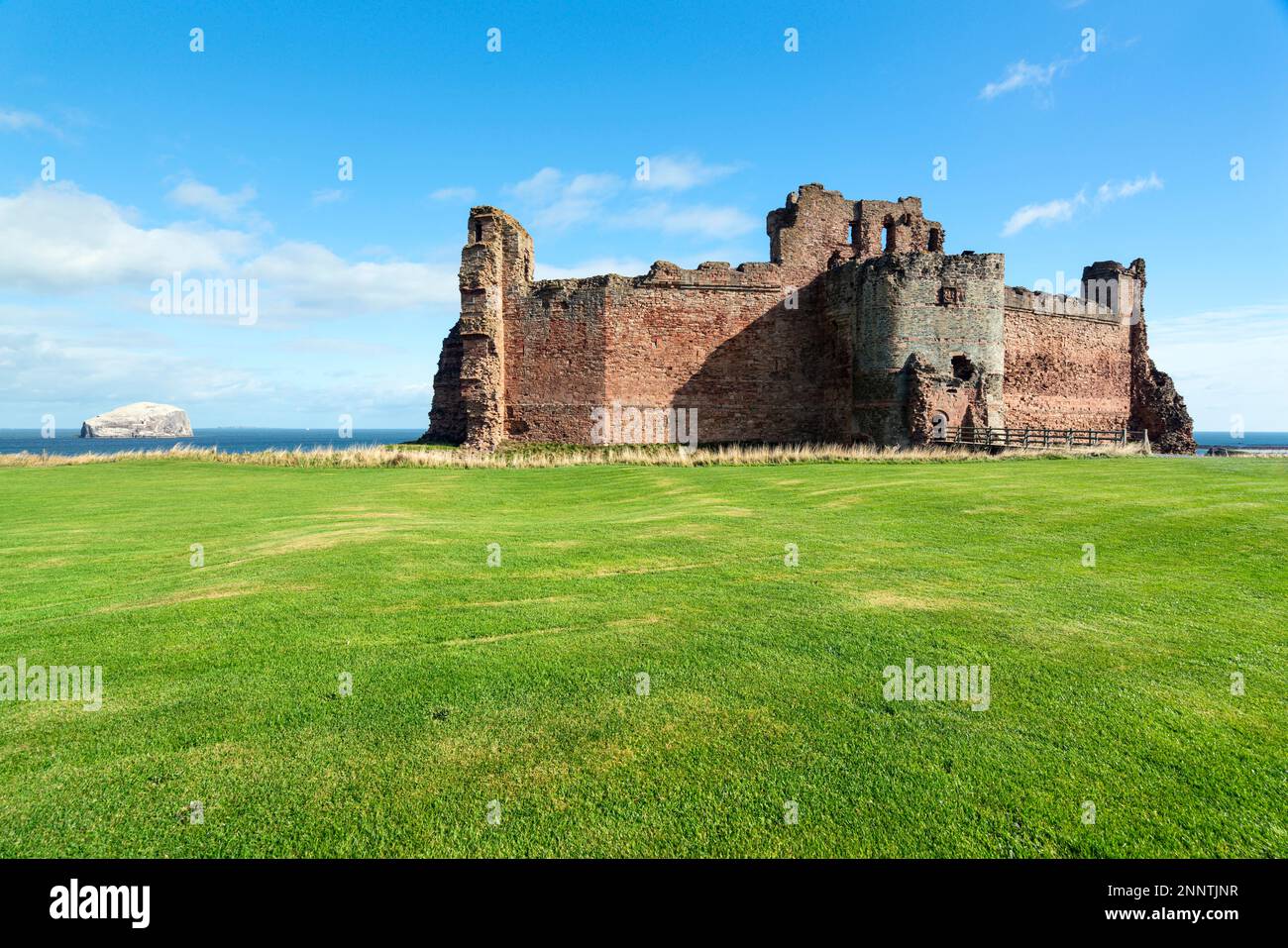 Bass Rock and ruined Tantallon Castle, ancient castle of the Douglas ...