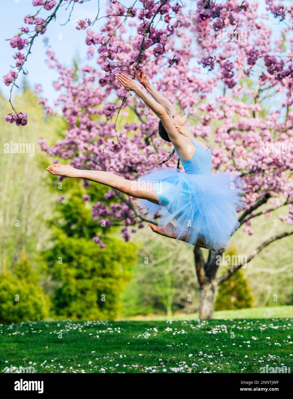 Ballerina in blue dress under cherry blossom, Battle Point Park ...