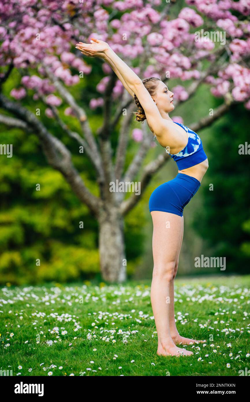 Female contortionist stretching under cherry blossom, Battle Point Park ...