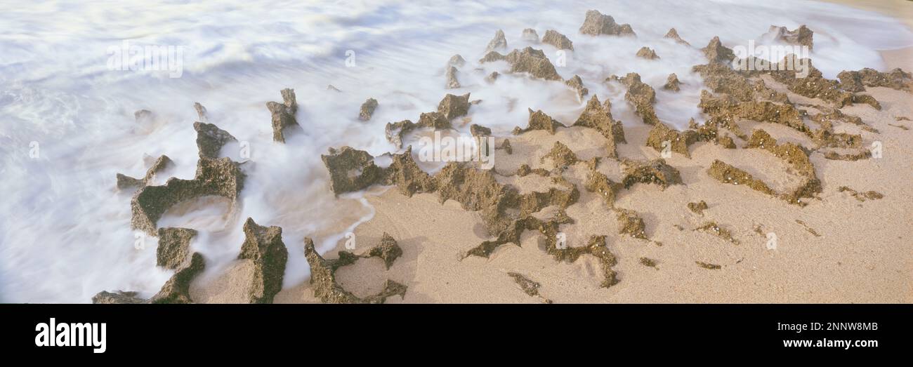 Sea of Cortes surf on beach, El Cardonal, Baja California Sur, Mexico ...