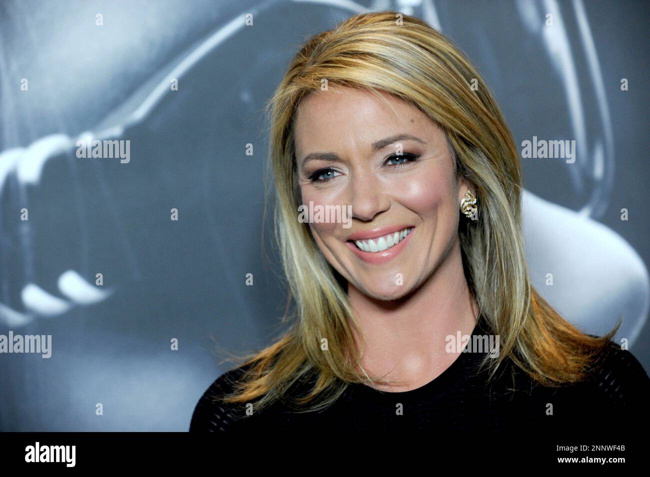 Photo by: Dennis Van Tine/STAR MAX/IPx 2/17/21 Brooke Baldwin suddenly ...