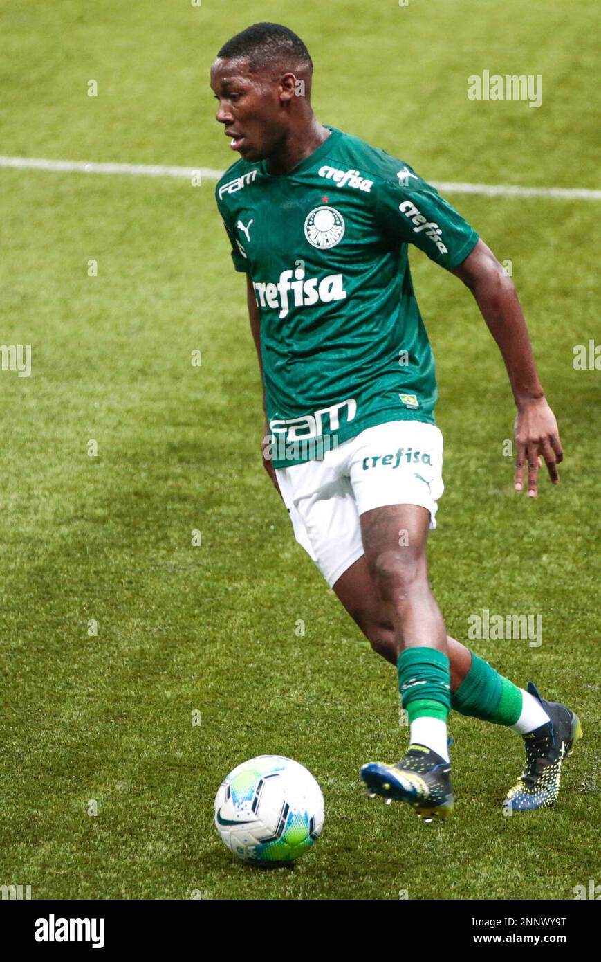 SP - Sao Paulo - 02/14/2021 - BRAZILIAN 2020, PALMEIRAS X FORTALEZA ...