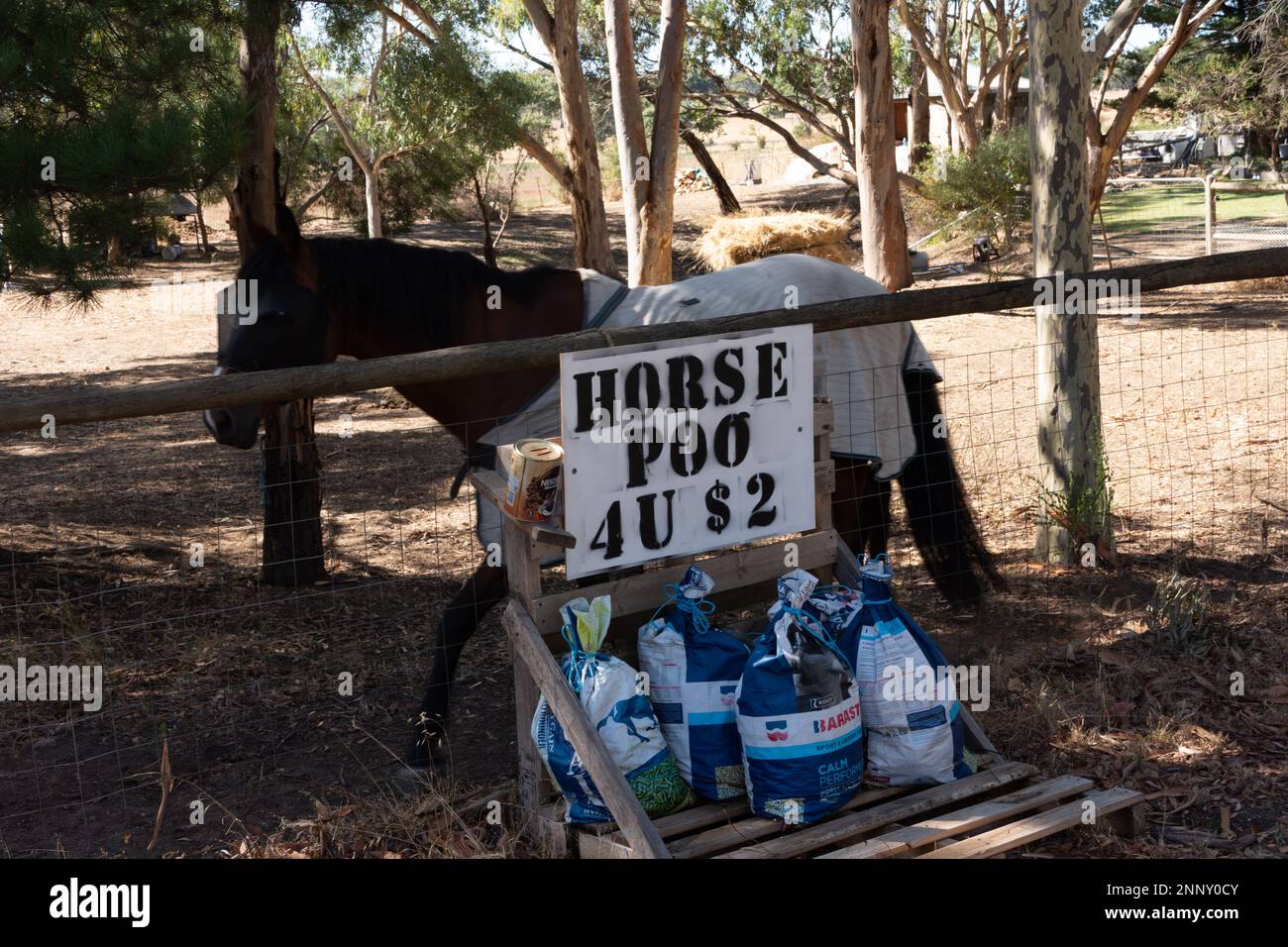 Horse poo manure hi-res stock photography and images - Alamy