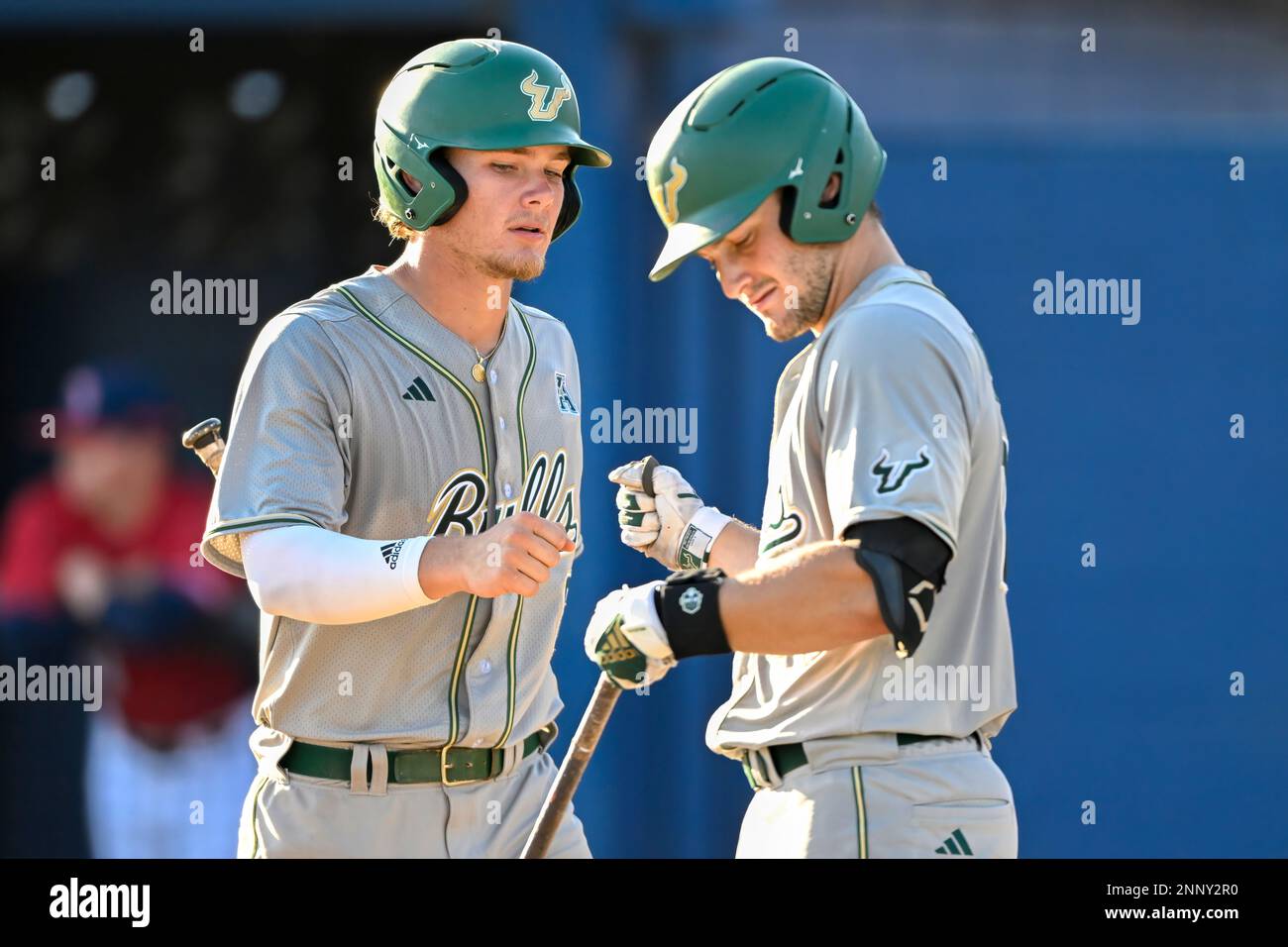 South Florida infielder Bobby Boser celebrates scoring a run with ...