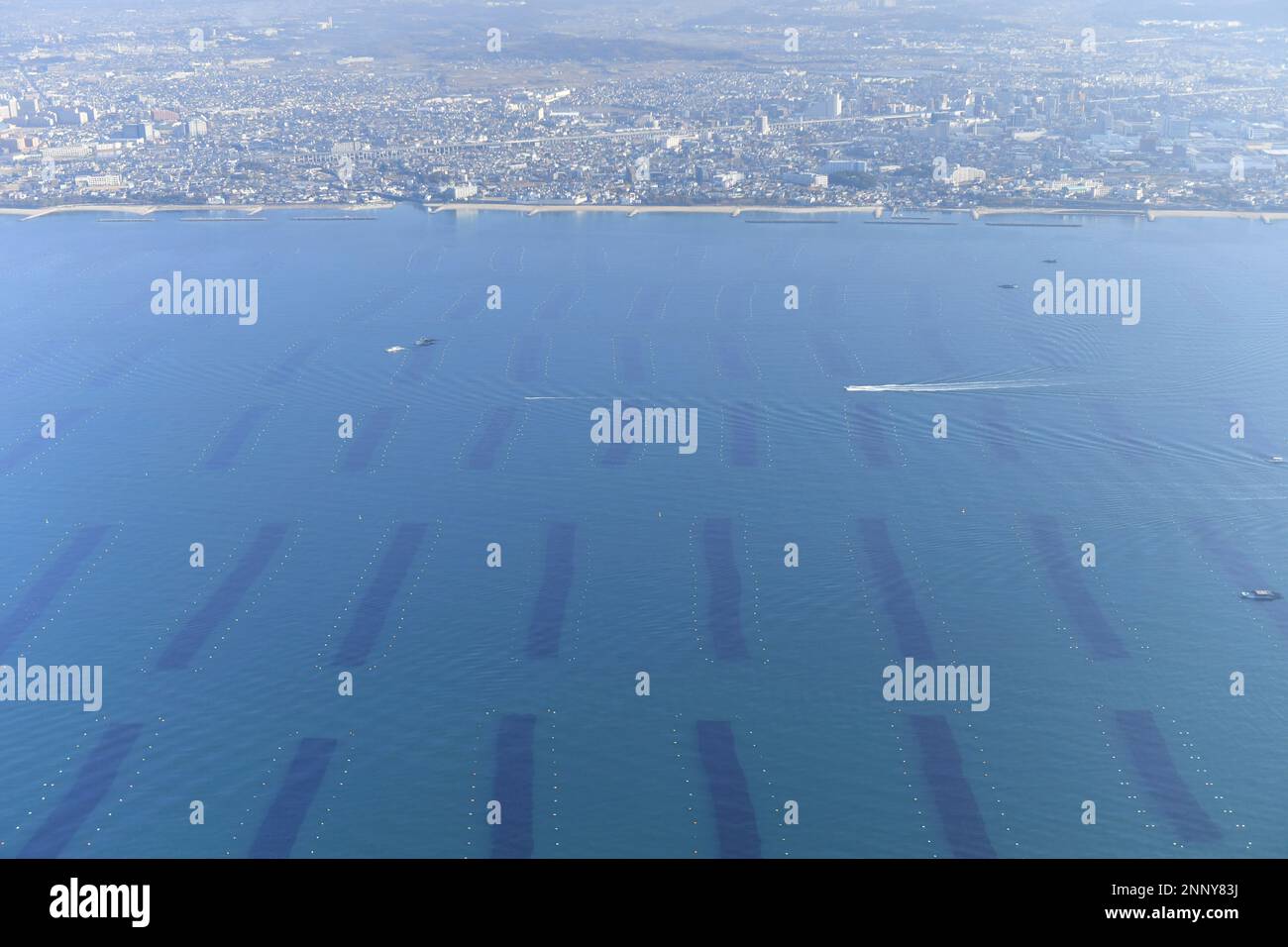 An aerial photo shows fishery boats harvesting farmed seaweed at Seto ...