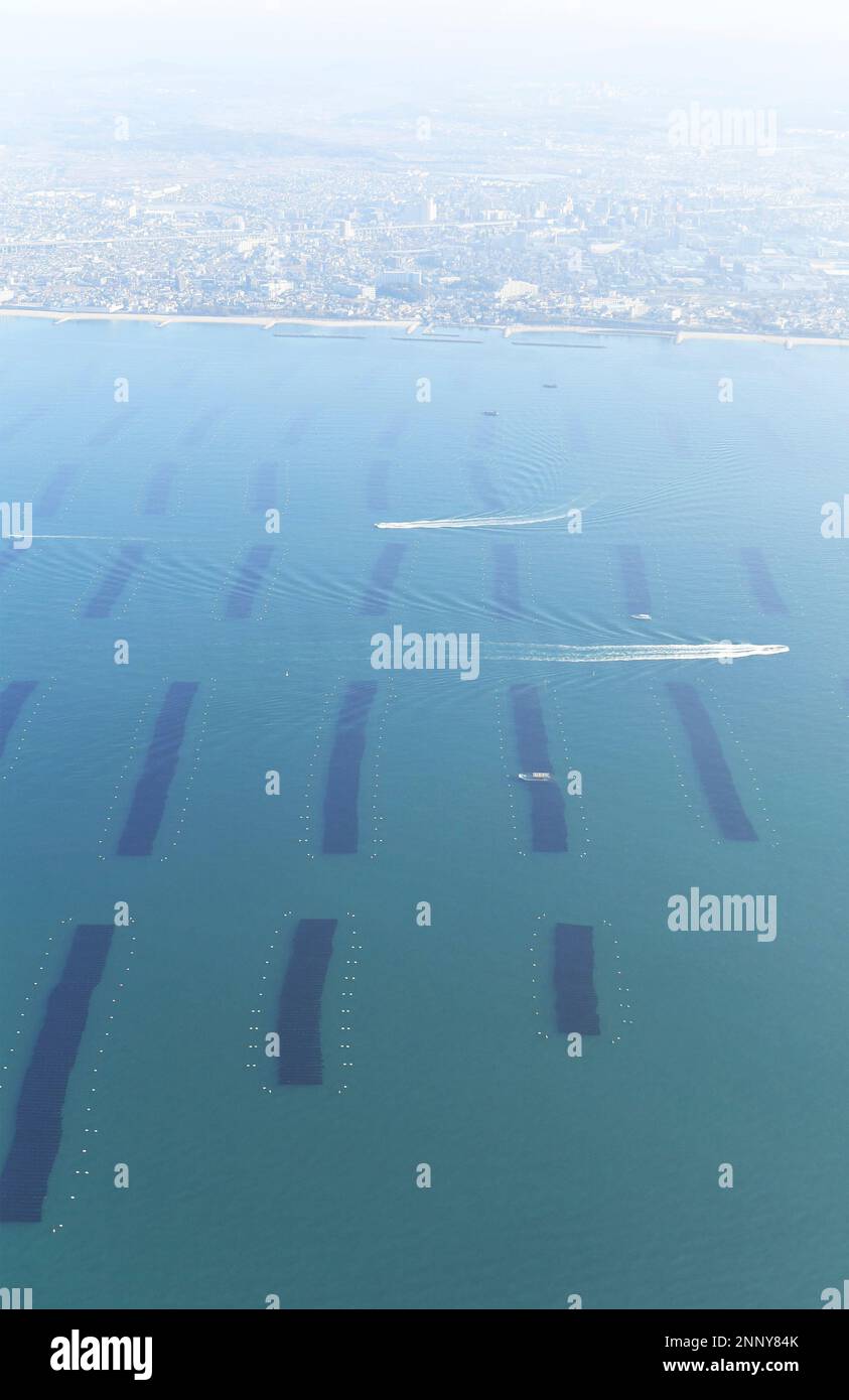 An aerial photo shows fishery boats harvesting farmed seaweed at Seto ...