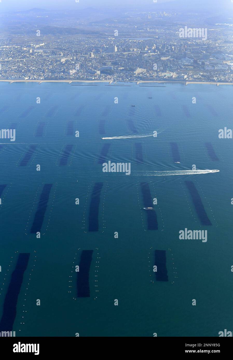 An aerial photo shows fishery boats harvesting farmed seaweed at Seto ...