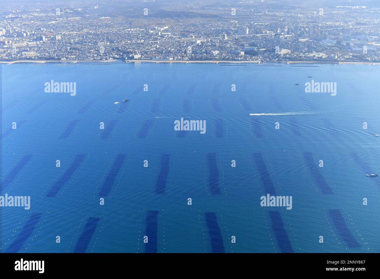 An aerial photo shows fishery boats harvesting farmed seaweed at Seto ...
