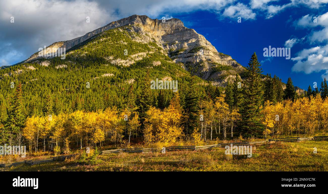 Grotto Mountain and forest in autumn, Canmore, Alberta, Canada Stock ...