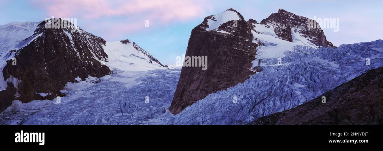 British hounds hi-res stock photography and images - Alamy