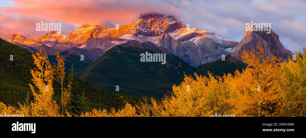 Mount Lougheed with aspen trees at sunset in autumn, Canmore, Alberta ...