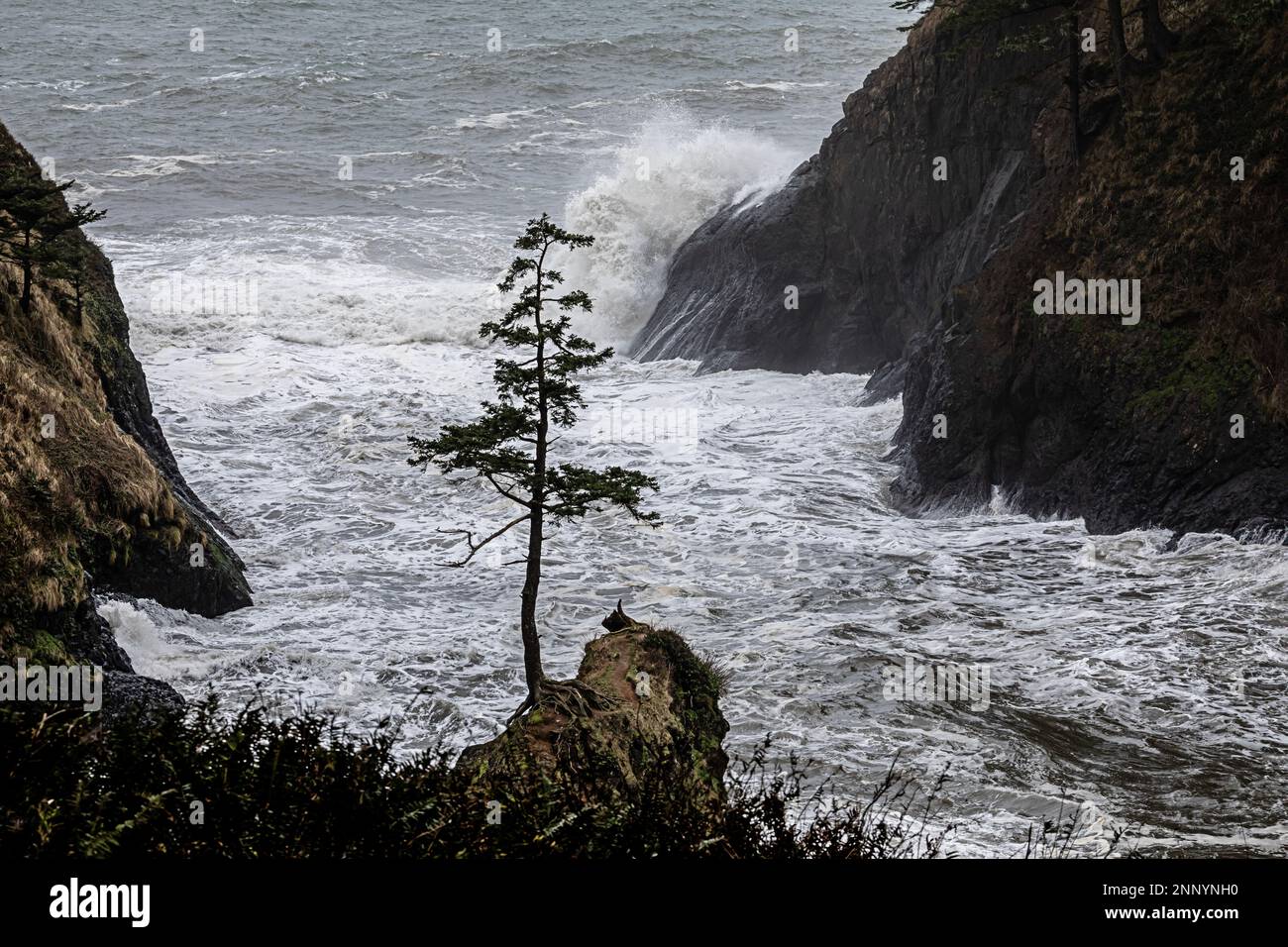WA23089-00...WASHINGTON - A wave crashing on the cliff at the entrance ...