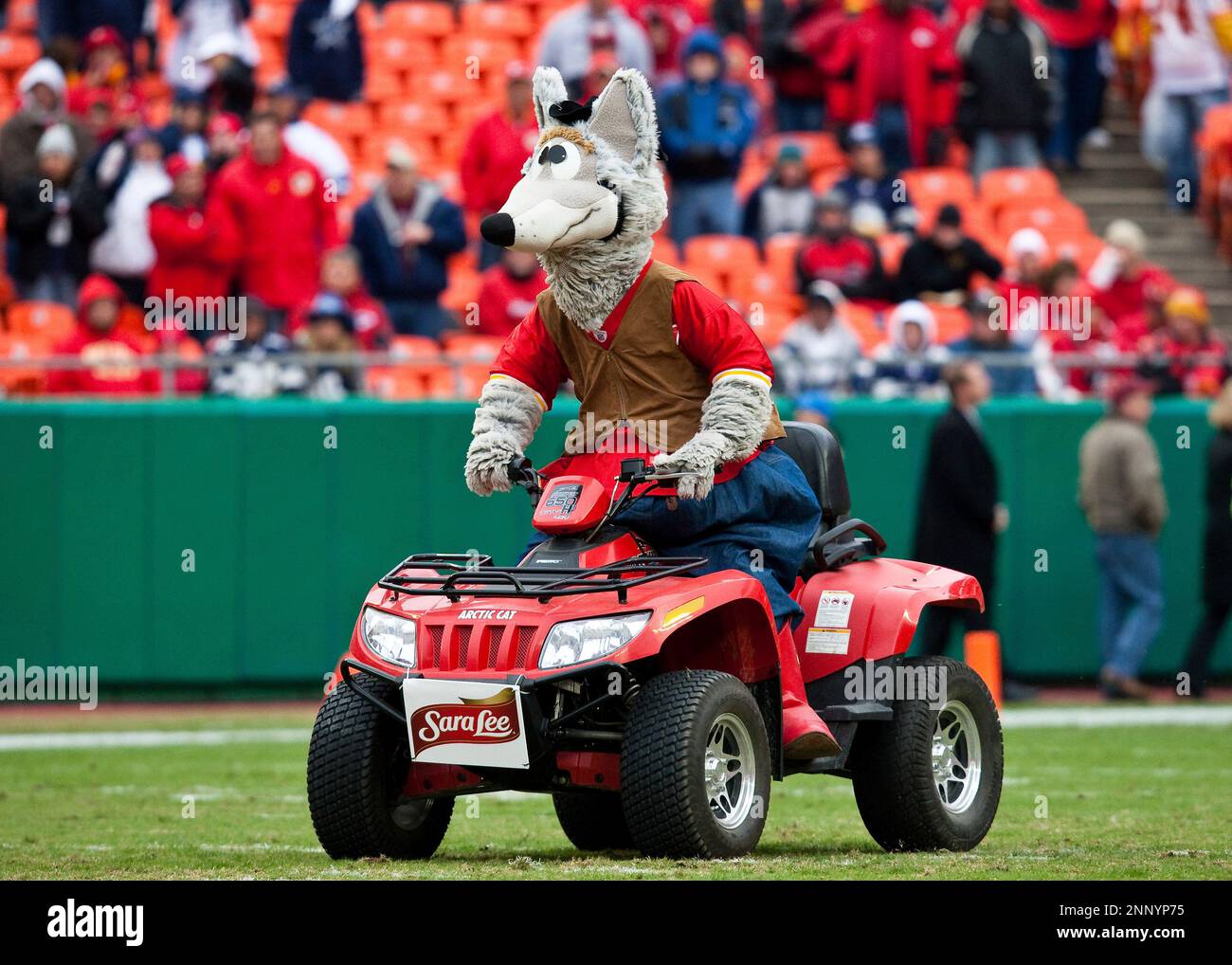 11 October 2009: Kansas City Chiefs mascot KC Wolf rides onto the field ...