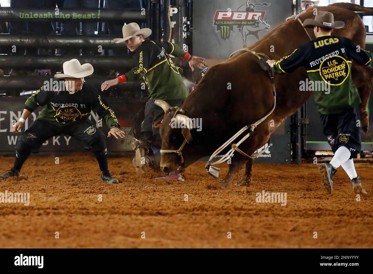 OKEECHOBEE, FL - JANUARY 31: Bullfighter Frank Newsom faces bull ...