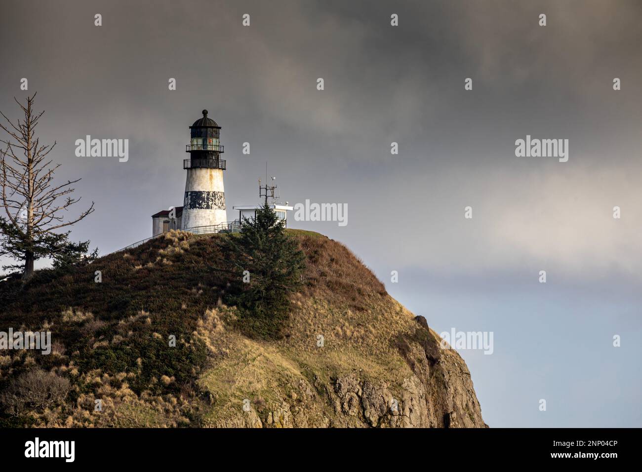 WA23111-00...WASHINGTON - Cape Disappointment Lighthouse and Coast ...