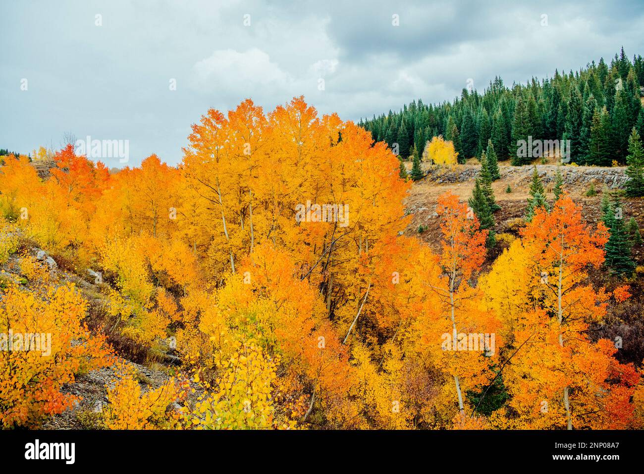 Hillside colorado hi-res stock photography and images - Alamy