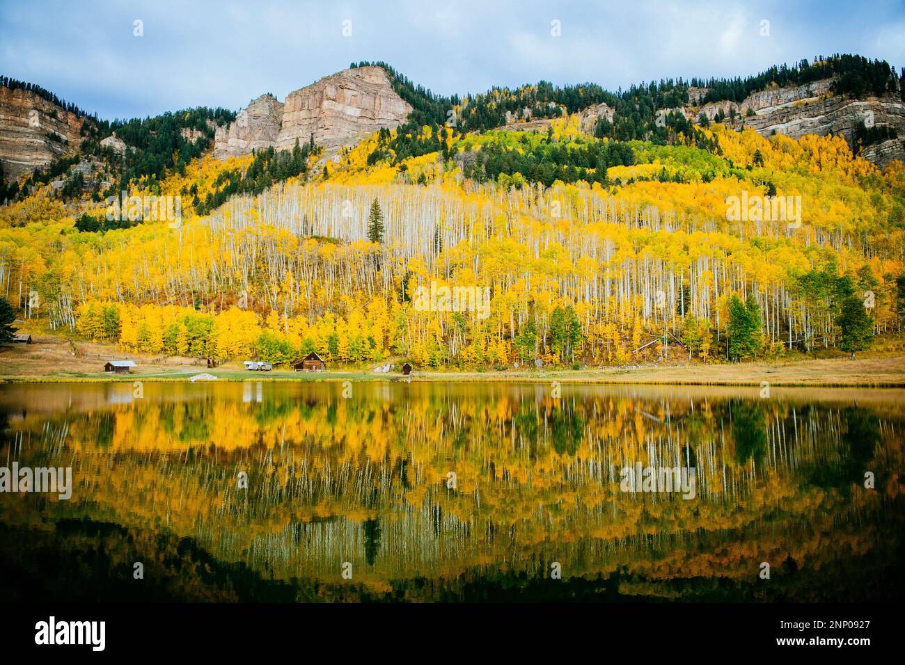 Beauty of the forest hi-res stock photography and images - Alamy