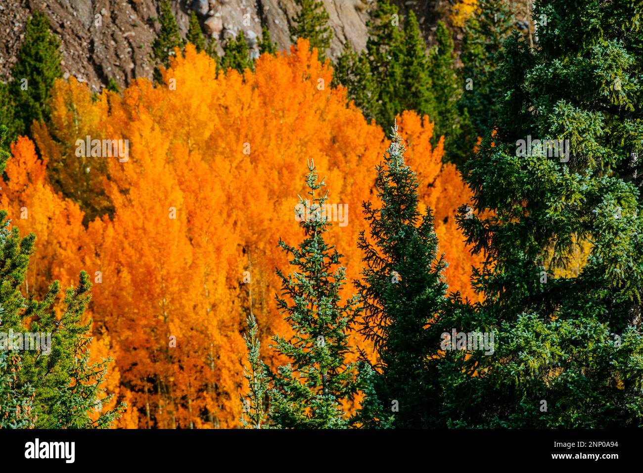 Durango colorado not train hi-res stock photography and images - Alamy
