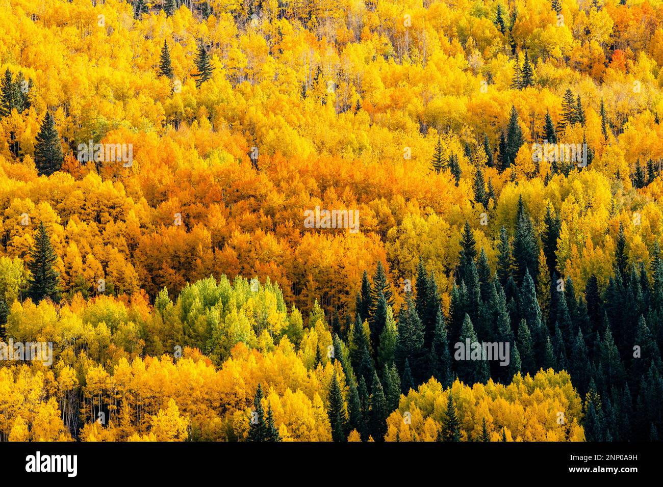 Durango colorado not train hi-res stock photography and images - Alamy