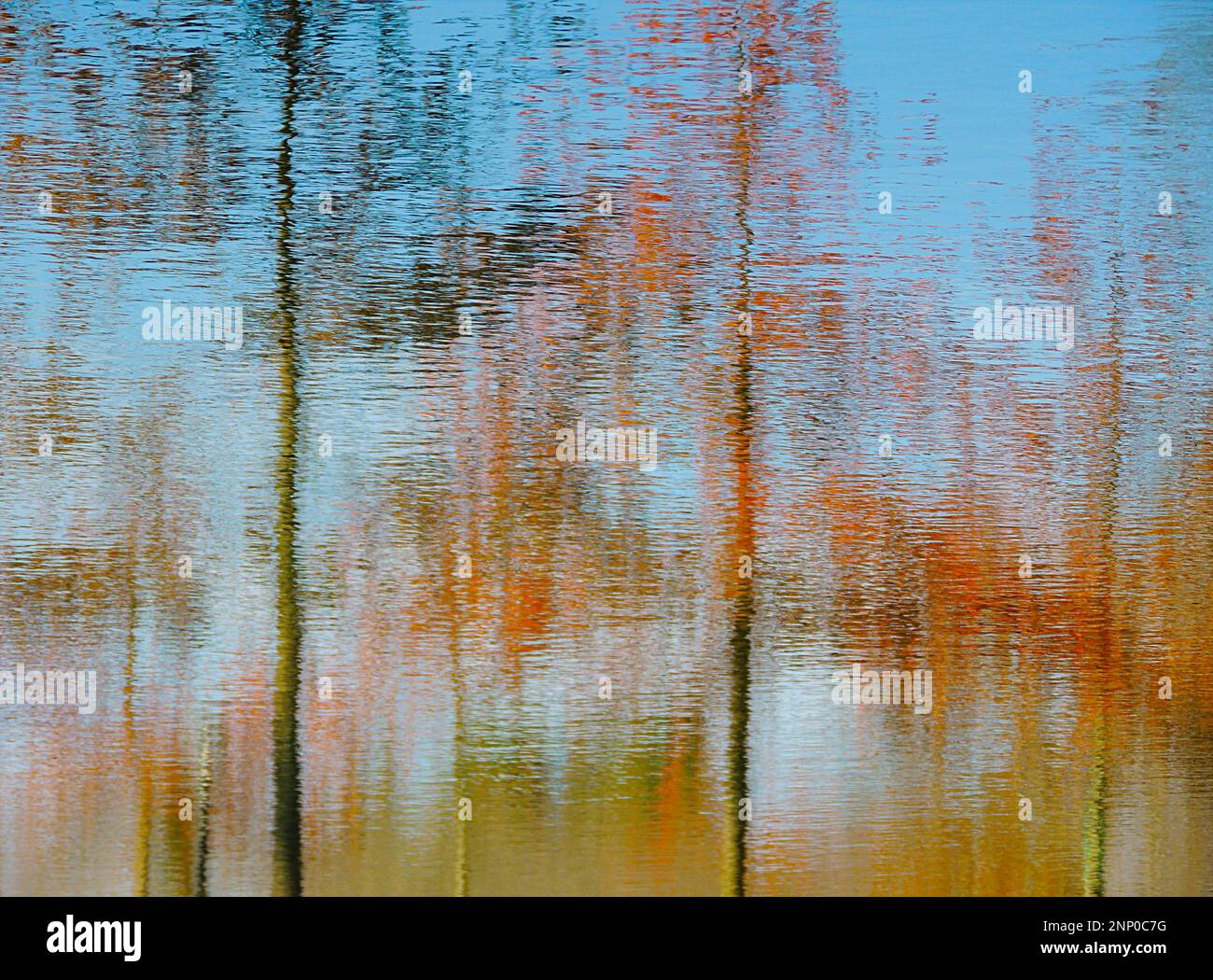 Image reflection in water hi-res stock photography and images - Alamy