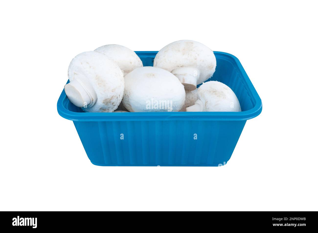 Whole champignon mushrooms in blue plastic container isolated on a ...