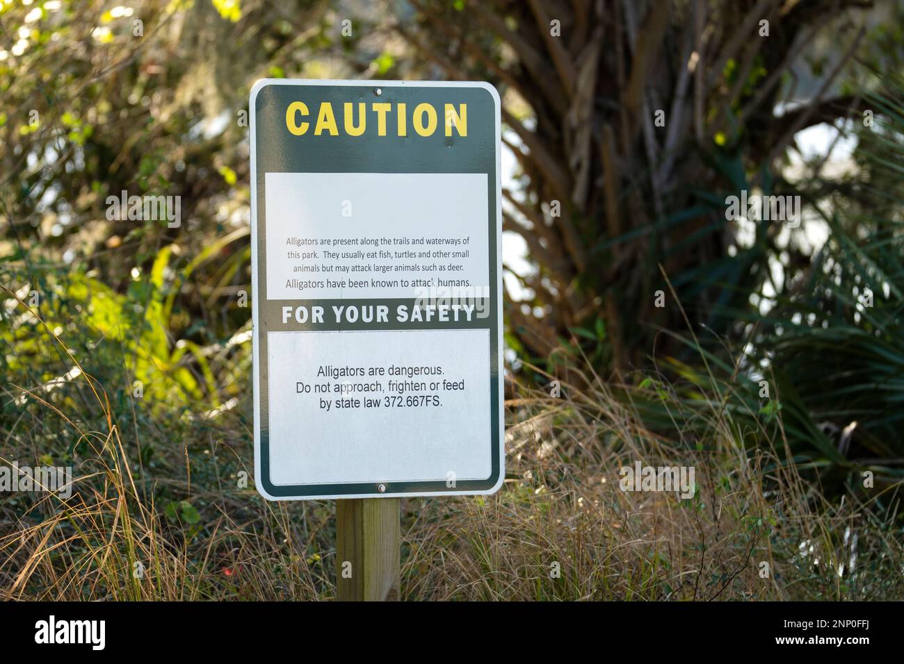 Alligators warning sign in Florida state park about caution and safety ...
