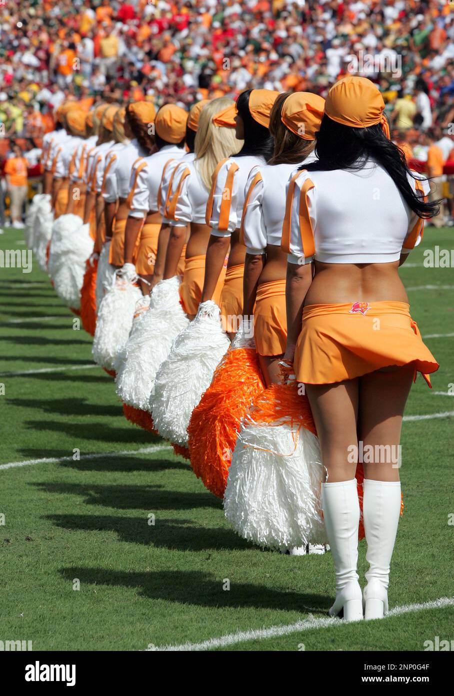 08 NOV 2009: The Tampa Bay Buccaneer cheerleaders line up for the ...