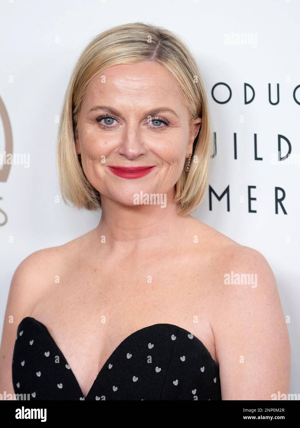 Los Angeles, USA. 25th Feb, 2023. Amy Poehler arrives at the 34th ...
