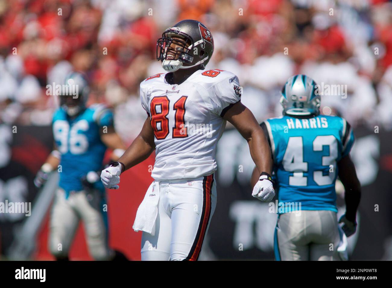 12 OCTOBER 2008: Tampa Bay Buccaneers tight end Alex Smith (81) during the Tampa Bay Buccaneers ...