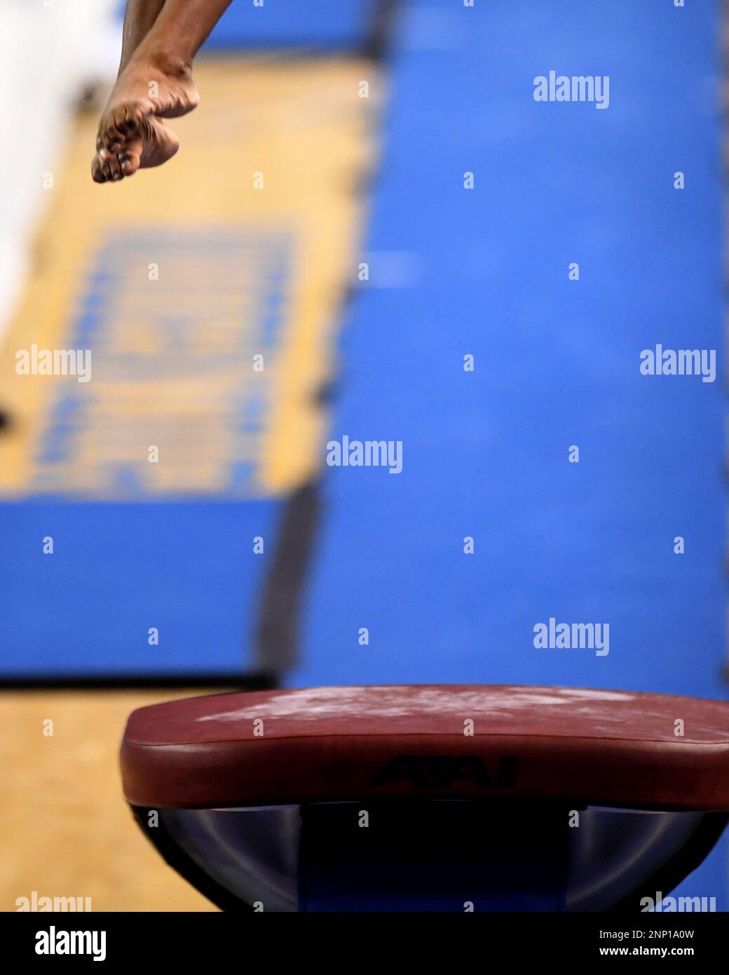 UCLA gymnast Chae Campbell competes in the vault against Arizona State ...