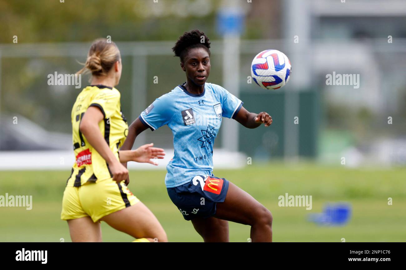 Claudia Cicco of Wellington Phoenix and Princess Ibini-Isel of Sydney ...