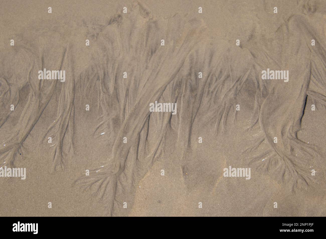 Water patterns in the sand on a each Stock Photo - Alamy