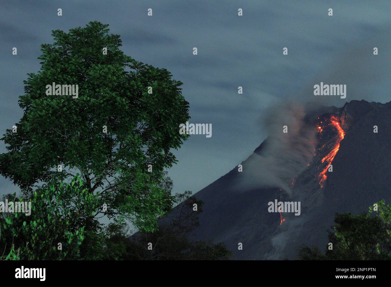 Hot lava flows down from the crater of Mount Merapi as its activity ...